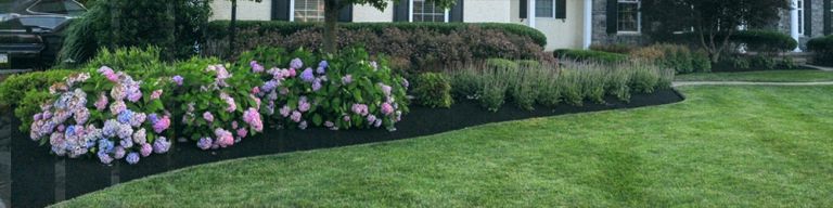 ALL ABOUT MULCH | TJ Bark & Mulch